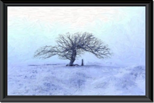 Virtual Art Gallery: Soledad.